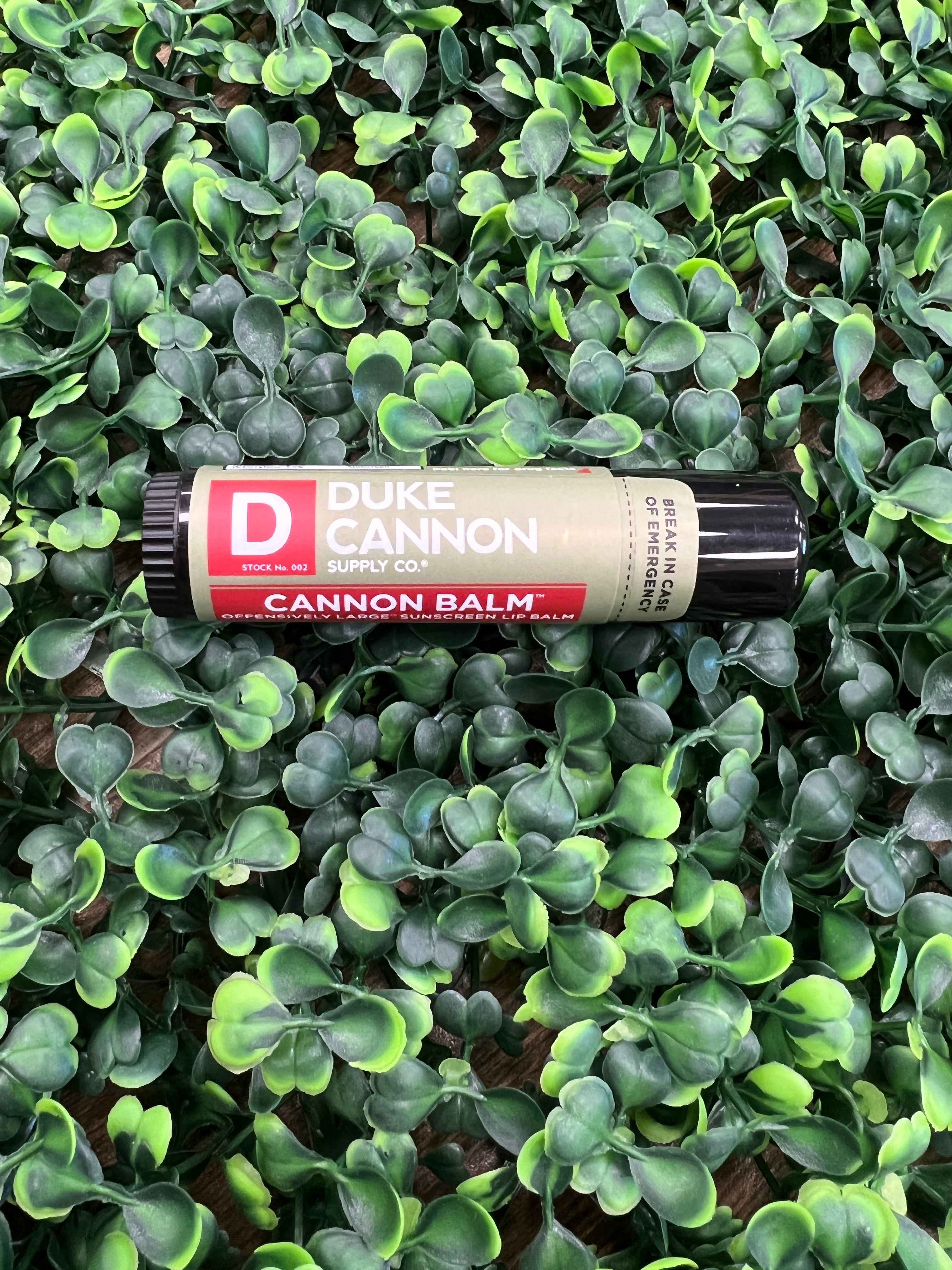 Cannon Balm – Clothed In Armor